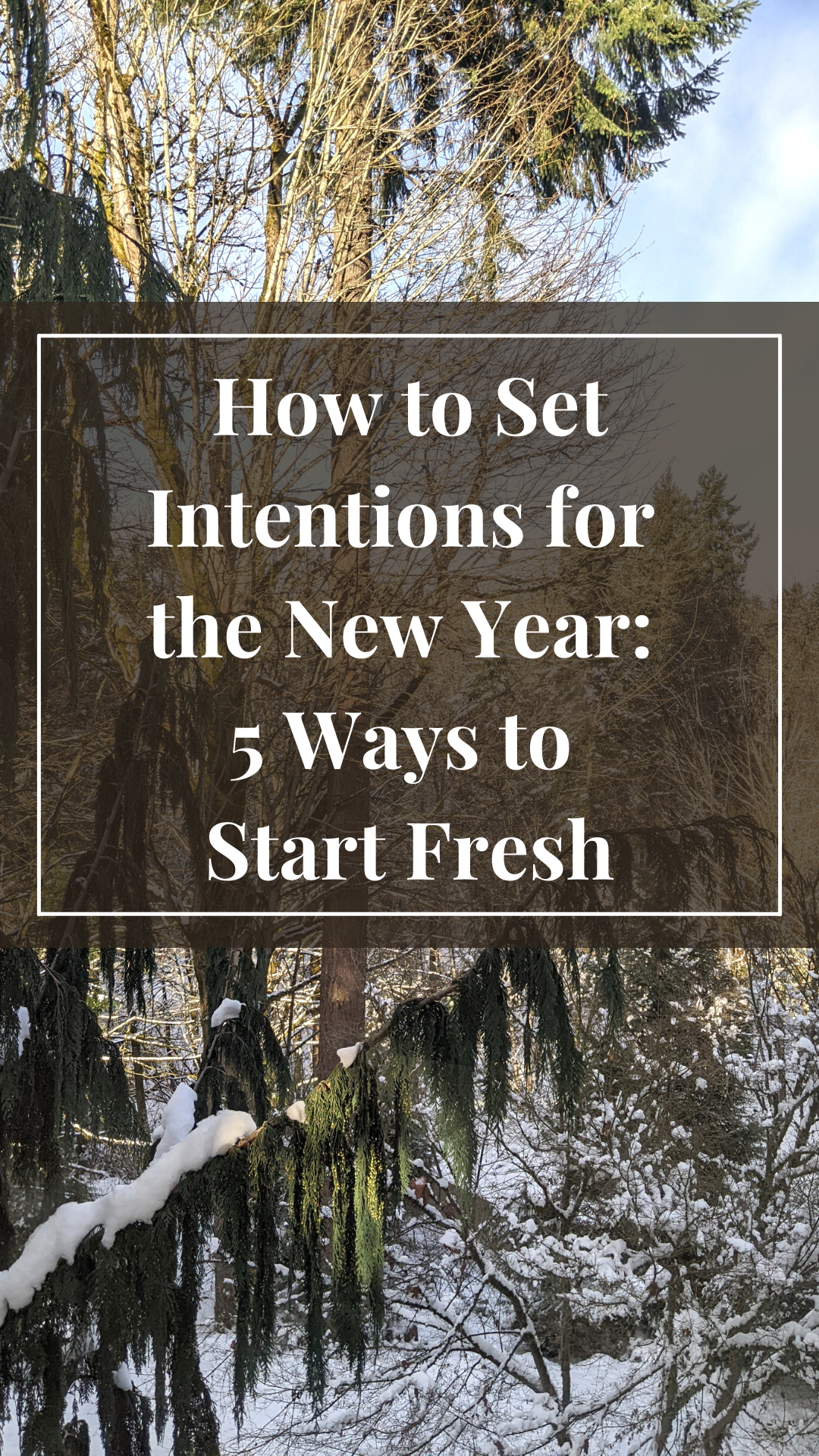 How to Set Intentions for the New Year - Open Heart & Hearth